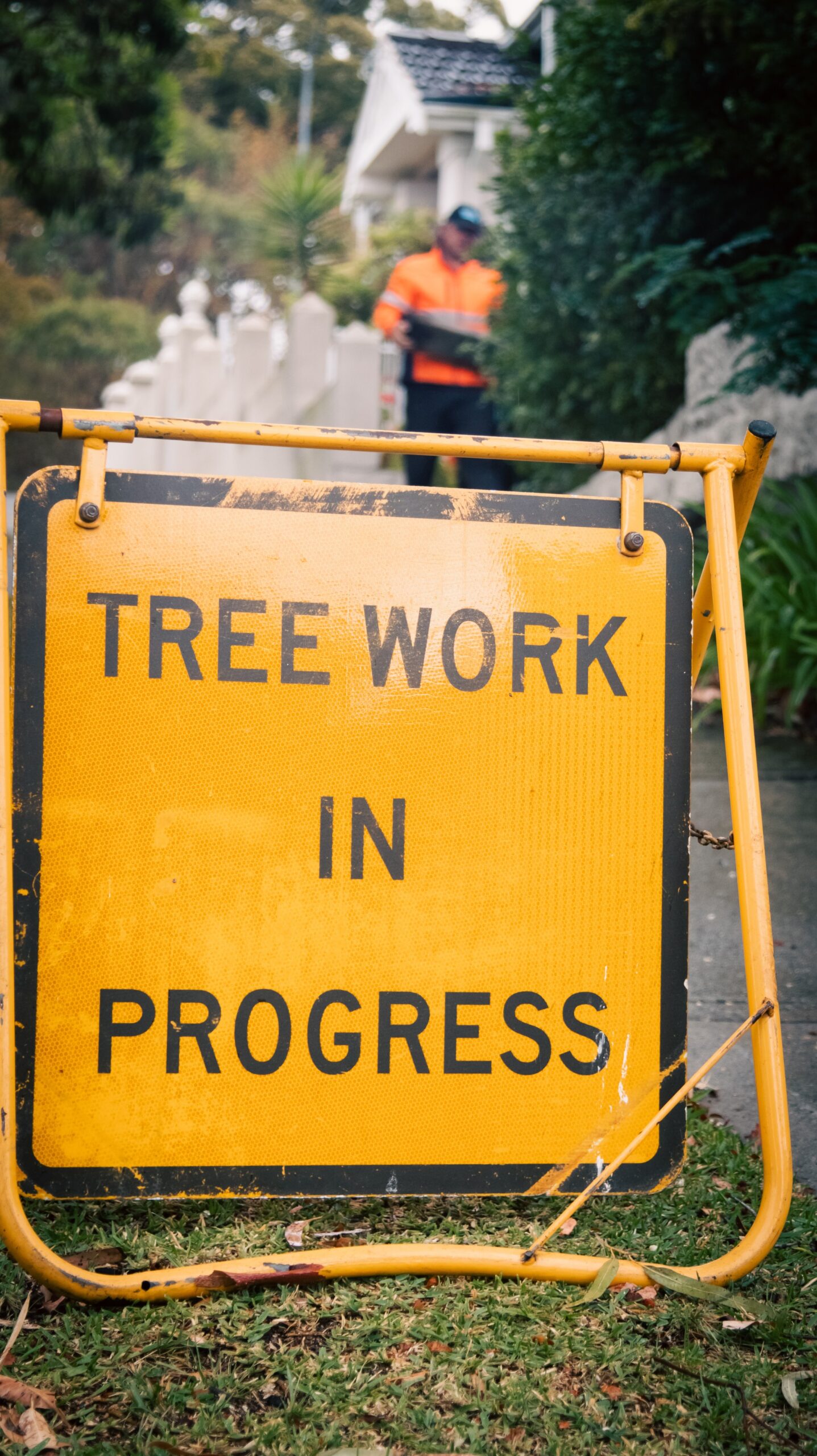 Tree Removal & Arborist Services Sydney | EcoArbor